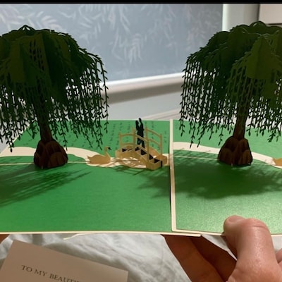 Robin Pop up Card 3D Robin Card Bird Watching Pop up Card - Etsy