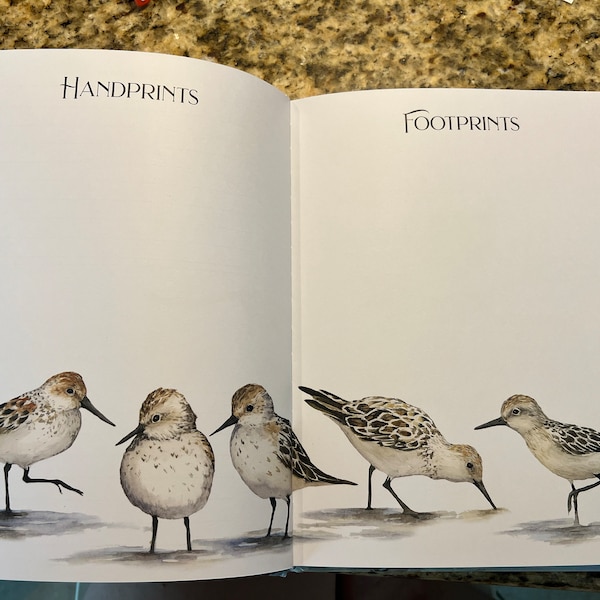 Coastal Wall Art Sandpiper Art Coastal Beach Art Beach House Decor ...