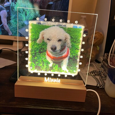 Palm Tree Scenic Personalized Custom License Vanity Plate Free Engraved ...