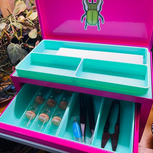 Axolotl Notepad - Cute Stationery Gift Kawaii Axolotl Memo Pad ...