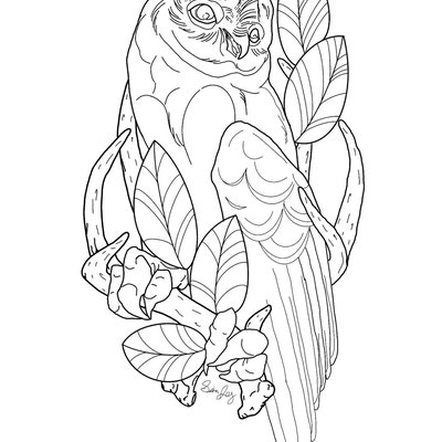 500 Procreate Skin Color Palette, Procreate Face Color Palette ...