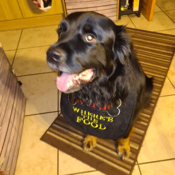 Big Dog Slobber Drool/slobber Bibs 2 Designs - Etsy