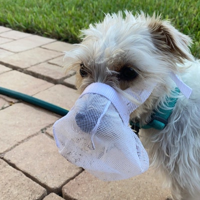 Smuzzle: A Soft Muzzle That Lets Your Dog Smile - Etsy