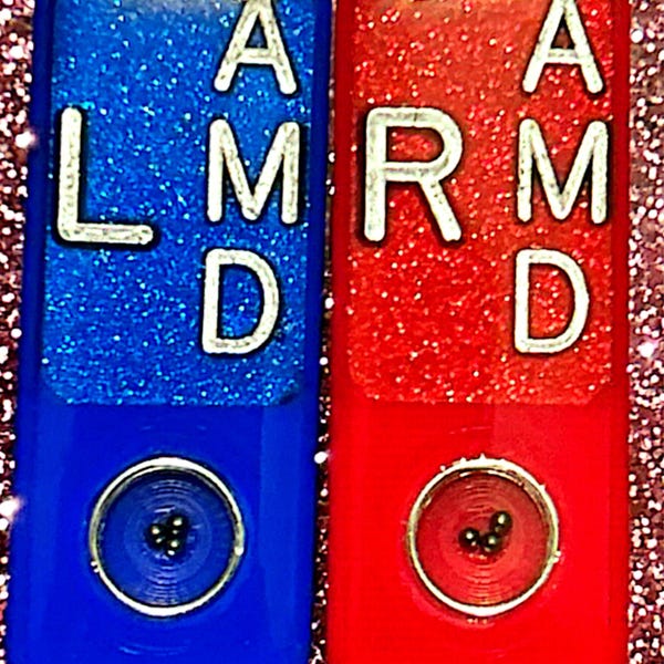 Floral Ribcage Sticker Radiology Sticker Xray Sticker Anatomy Sticker ...