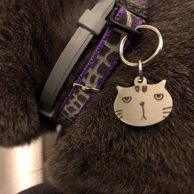 Personalized Cat Tag, Cat Name Tag, Custom Cat Tag, Cat ID Tag, Pet ...