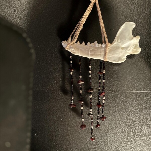 Embalming Equipment Print in |glass Frame | Bones and Skulls | Oddities ...