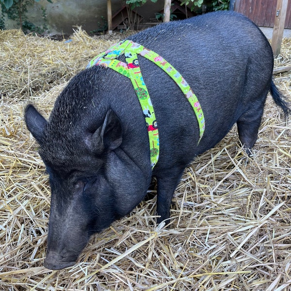 Flannel Mini Pig Harness - You Choose Fabric - Etsy