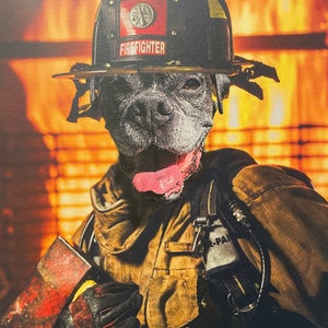 Firefighter Pet Portrait, Firefighter Gift Ideas, Fire Fighter Dog ...