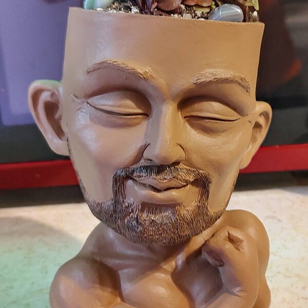 Purple Calico Kitten Houseplants Live Plant in Pot Indoor Small Starter ...