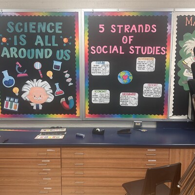 Bugs Insects Bulletin Board Kit, Spring Summer Learning Bug Class Decor ...