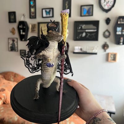 Oddities & Curiosities Mystery Box 4 Lot Haunted Paranormal Creepy Wet ...