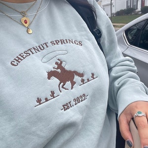 Final Offer Merch / Dreamland Billionaires Merch/ LICENSED Lauren Asher ...