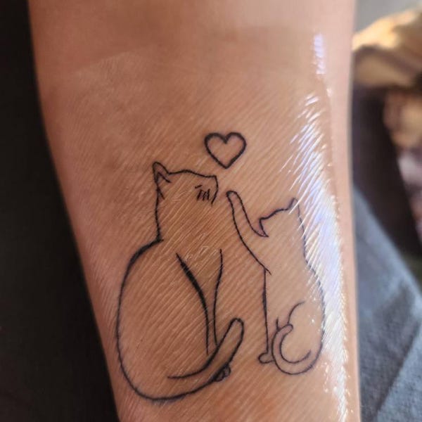 Teddy Bear Clipart: Fluffy Baby Bear PNG (digital Download) - Etsy