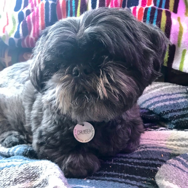 Custom Dog Tag / Custom Pet ID Tag - Lucy - in 1.25'' Domed Bronze ...