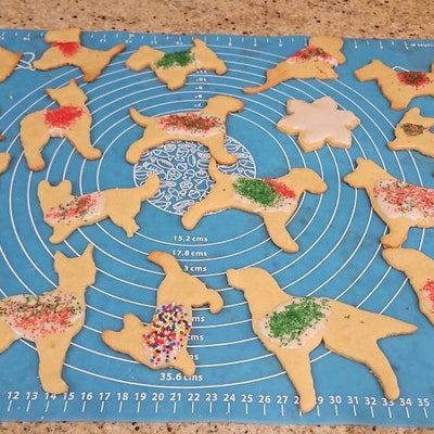 6 Piece Cat Cookie Cutter Set New Animal Shelter Fundraiser Metal ...