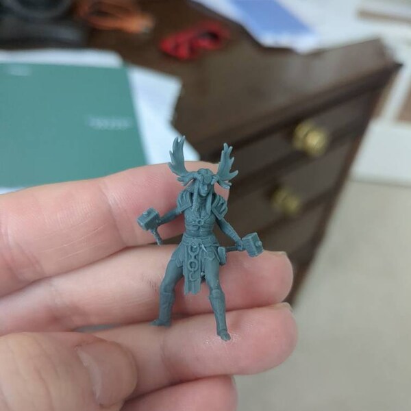 Human, Female, Viking, Warrior, Druid, Seer, Antlers, Leather Armor ...