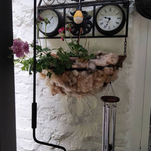 Natural Silver Birch Hardwood Round Log Slices Rustic Green Hard Wood ...