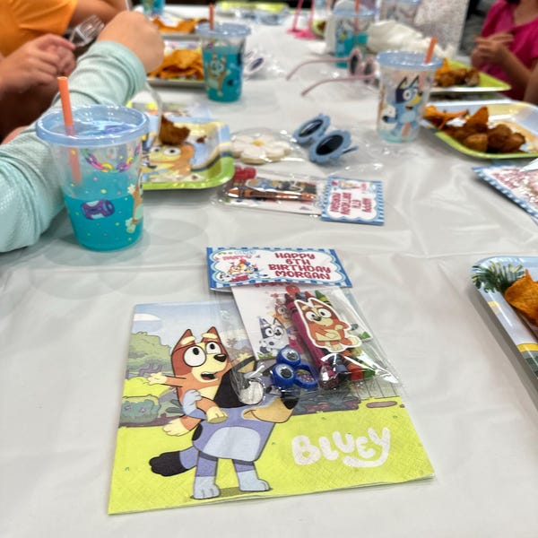 Sticky Gecko Bluey Birthday Party Coloring Book Set | Bluey Party ...