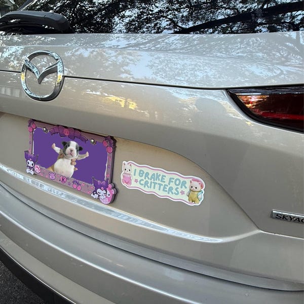 I Brake For... Bumper Sticker | Cute Bumper Sticker, Coquette Bumper ...