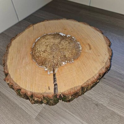 Natural Round Log Slices Rustic Green Wood Slice for Crafts Artists ...