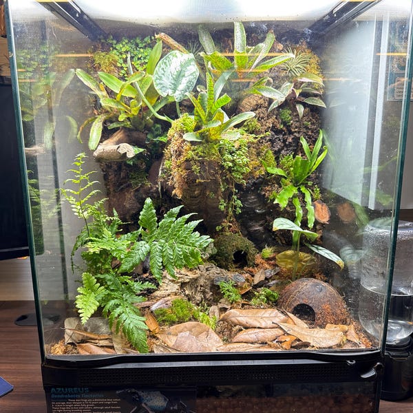 Reptile Enclosure Labels Bearded Dragon Information Sticker - Glossy ...