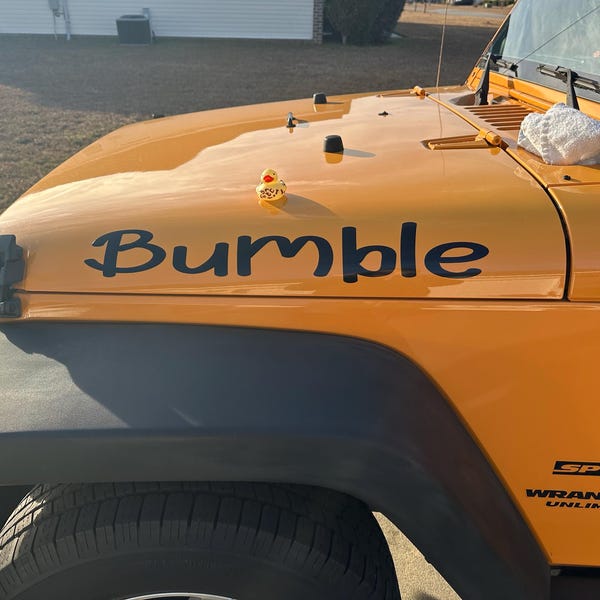 20 X 3.5 Pair of Custom Two Colors Hood Vinyl Decals High-quality Vinyl ...