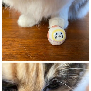 Terracotta Pot Zoi Assorted Plate - Etsy