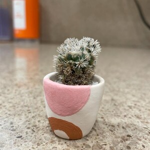 Copa Plant Propagation Vessel / Handmade Ceramic and | Etsy