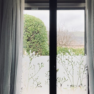Grasses Window Privacy Film Window Film Sticker Glass Sticker - Etsy UK