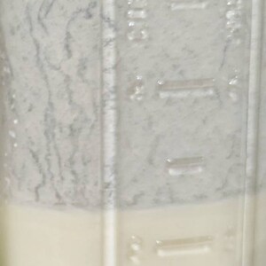 Live and Active Scoby Kombucha Starter Culture With Instructions and 4 ...