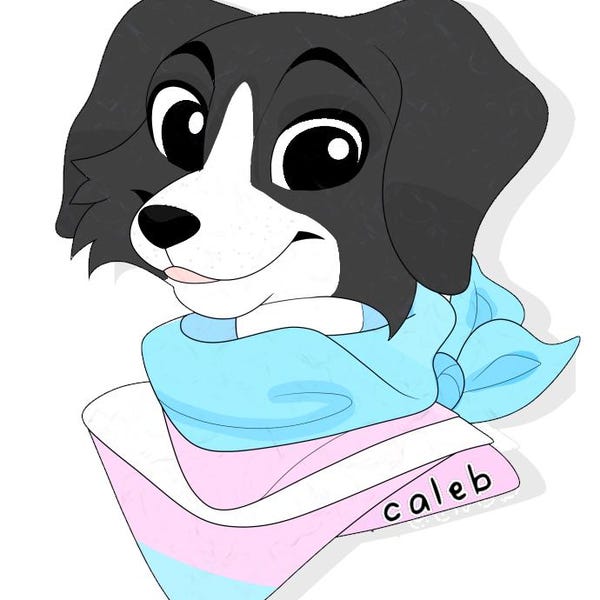 Cat Reference Sheet Base - Etsy