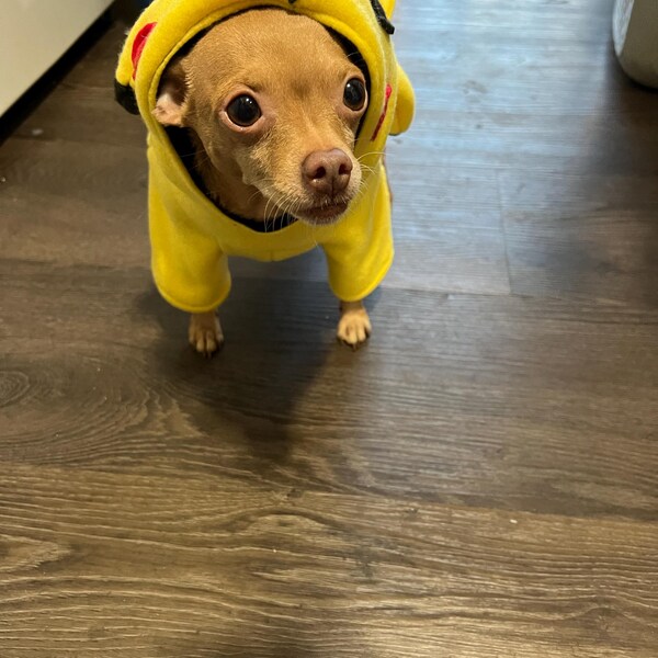 Pikachu From Pokemon Pet Dog Costumes Sizes XS to XL - Etsy