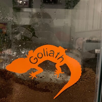 Customizable Name Ball Python Snake Vinyl Decal READ - Etsy