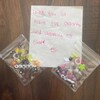 Off the Hook Eyepin Bracelets - Splatoon - Etsy