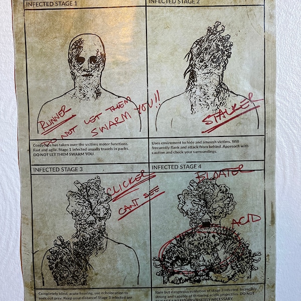 STAGES of INFECTION Cordyceps Flyer, the Last of Us, High Quality ...