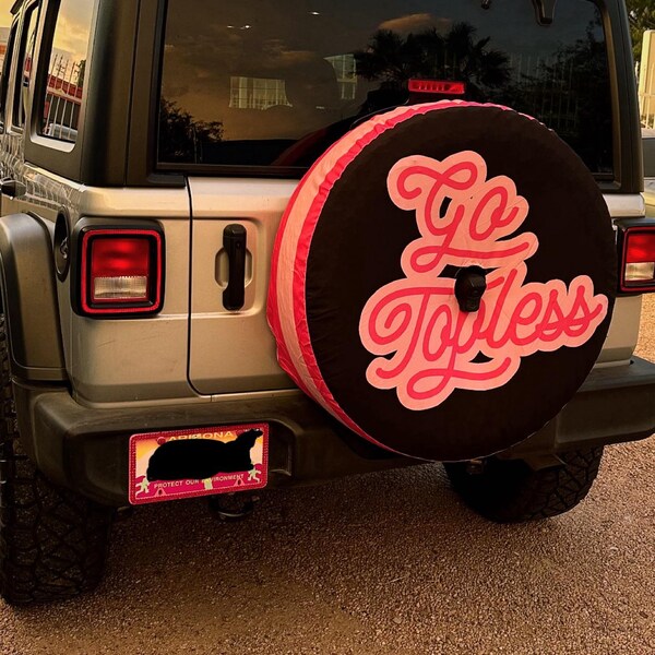 Preppy Aesthetic Area Rugs Baby Pink, Preppy Room Decor Aesthetic, Rug ...