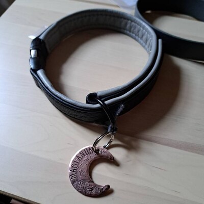 Mini Dog Tag for Dogs, the Bean, Dog Tag, Kidney Bean, Personalized ...