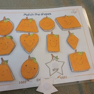 Female Reproductive System Busy Bundle Human Anatomy Printable | Etsy