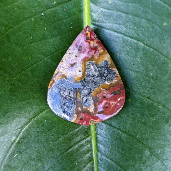 Tiger Jasper Earring Pair - Etsy