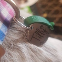 Personalised Dog Tag Design Your Own Tag Dog ID Tag Custom - Etsy