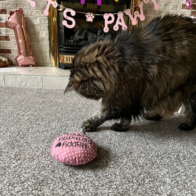 Personalised Catnip Fabric Birthday Balloon, Gotcha Day Gift, Cat ...