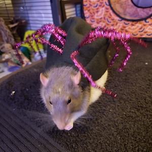 Jack O' Lantern Cape Costume for Pet Rats Orange Cape | Etsy