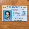 Marty Mcfly ID CARD Back to the Future Michael J Fox License Prop Mc ...