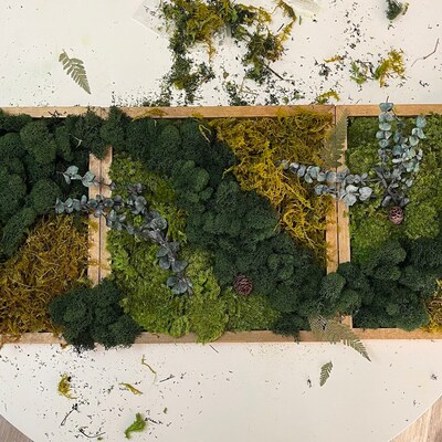 DIY Moss Art Kit, Multi Panel Canvas, Moss Wall Art, DIY Craft Kit for ...