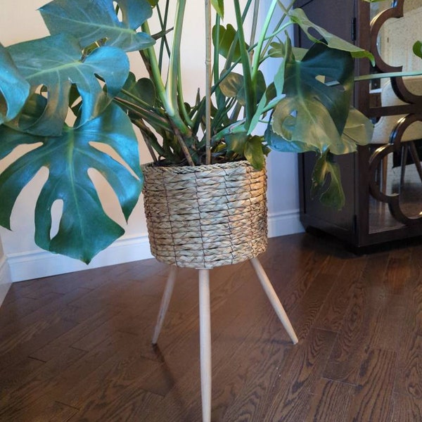 Boho Vintage Cat Tail Woven Plant Stand - Etsy