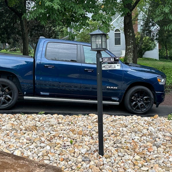 Fennec Fox Sign Funny Fennec Fox Sign Fennec Fox Accessories Fennec Fox ...