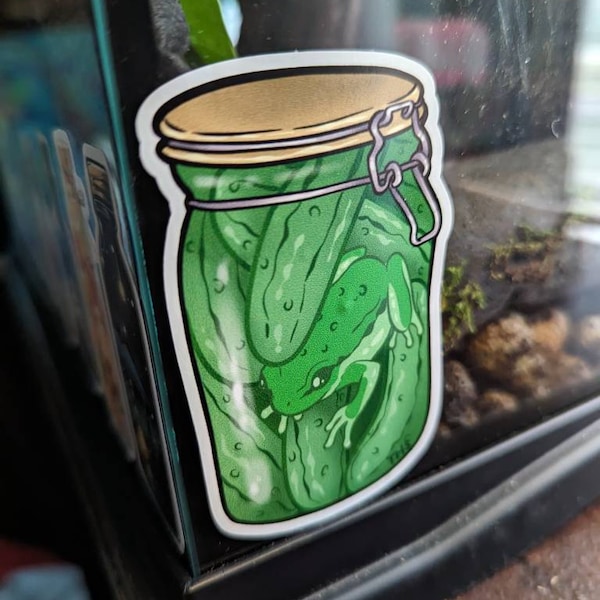 Pickle Frog Sticker - Etsy