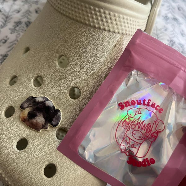 Straight to Hell Shoe/clog Charm, Cute Accessory, Custom Clog Charm - Etsy