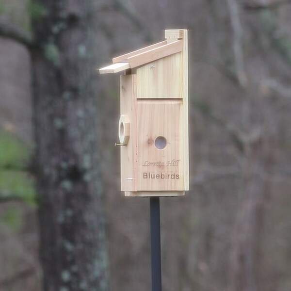 Barred Owl Nesting Box With Solar Powered PIR Wifi Camera; Opossum ...