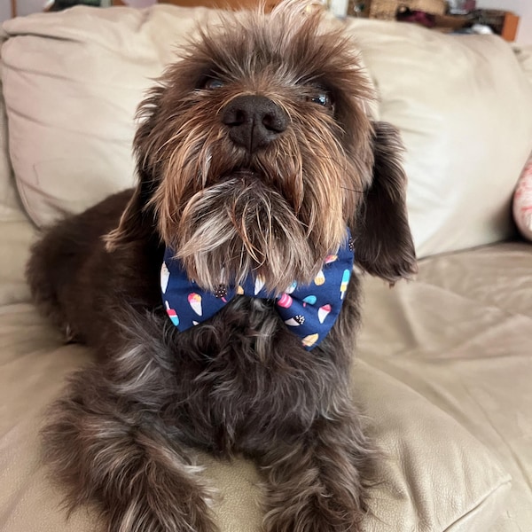 Rainbow Splotched Dog Bow Tie Summer Dog Bow Tie Colorful Dog Bow Tie ...